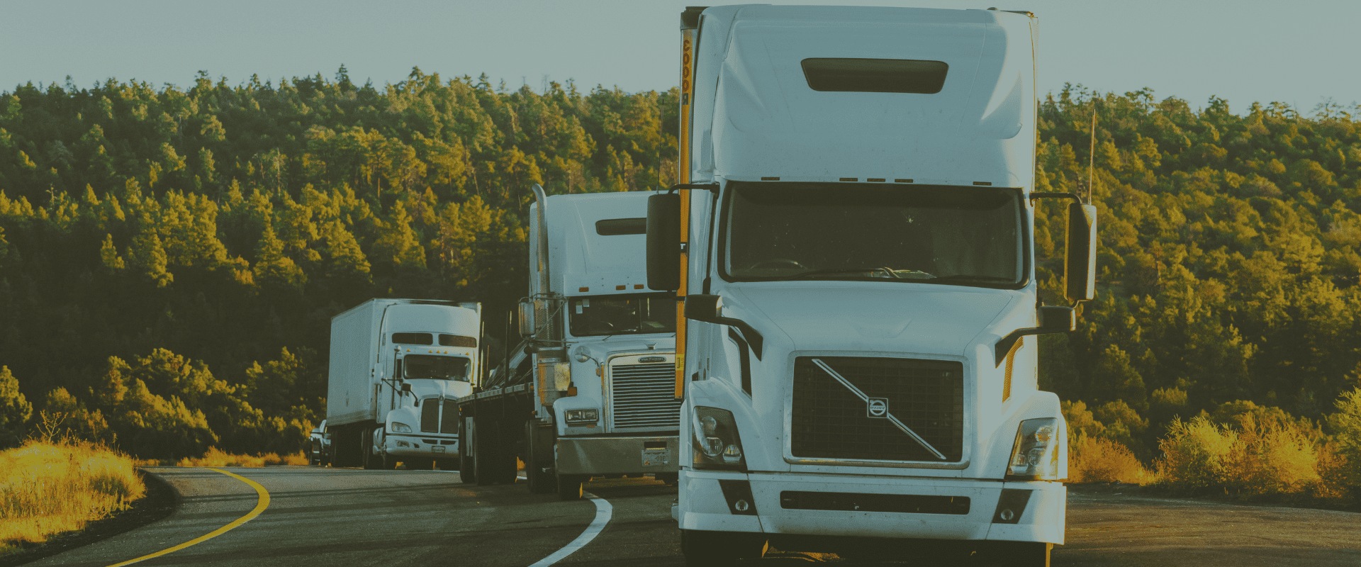 The Importance of Customs and Border Control in the Trucking Industry