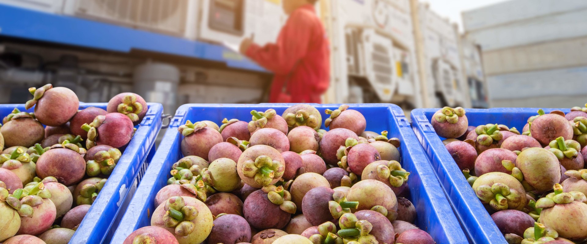 The Basics of Perishable Goods Shipping